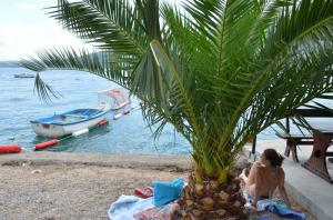 Djenovici beaches | Photos and photogallery